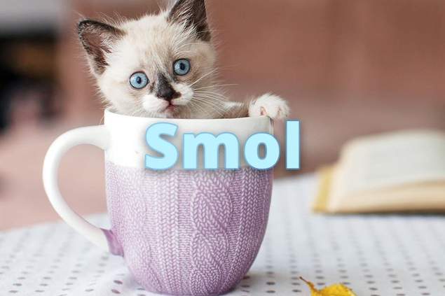 SMOL Slang Meaning | Merriam-Webster